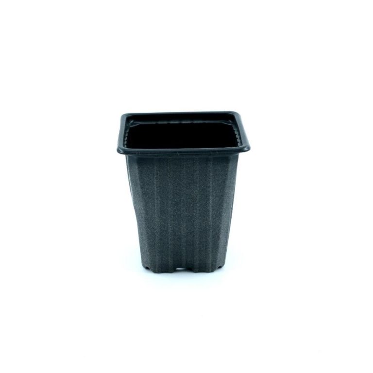 Thermoformed Square Pots – Agricas